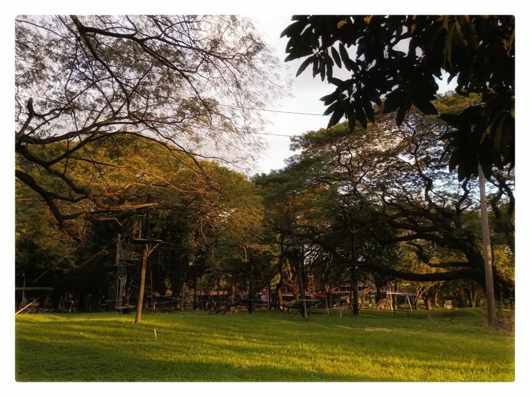 My Personal Portfolio